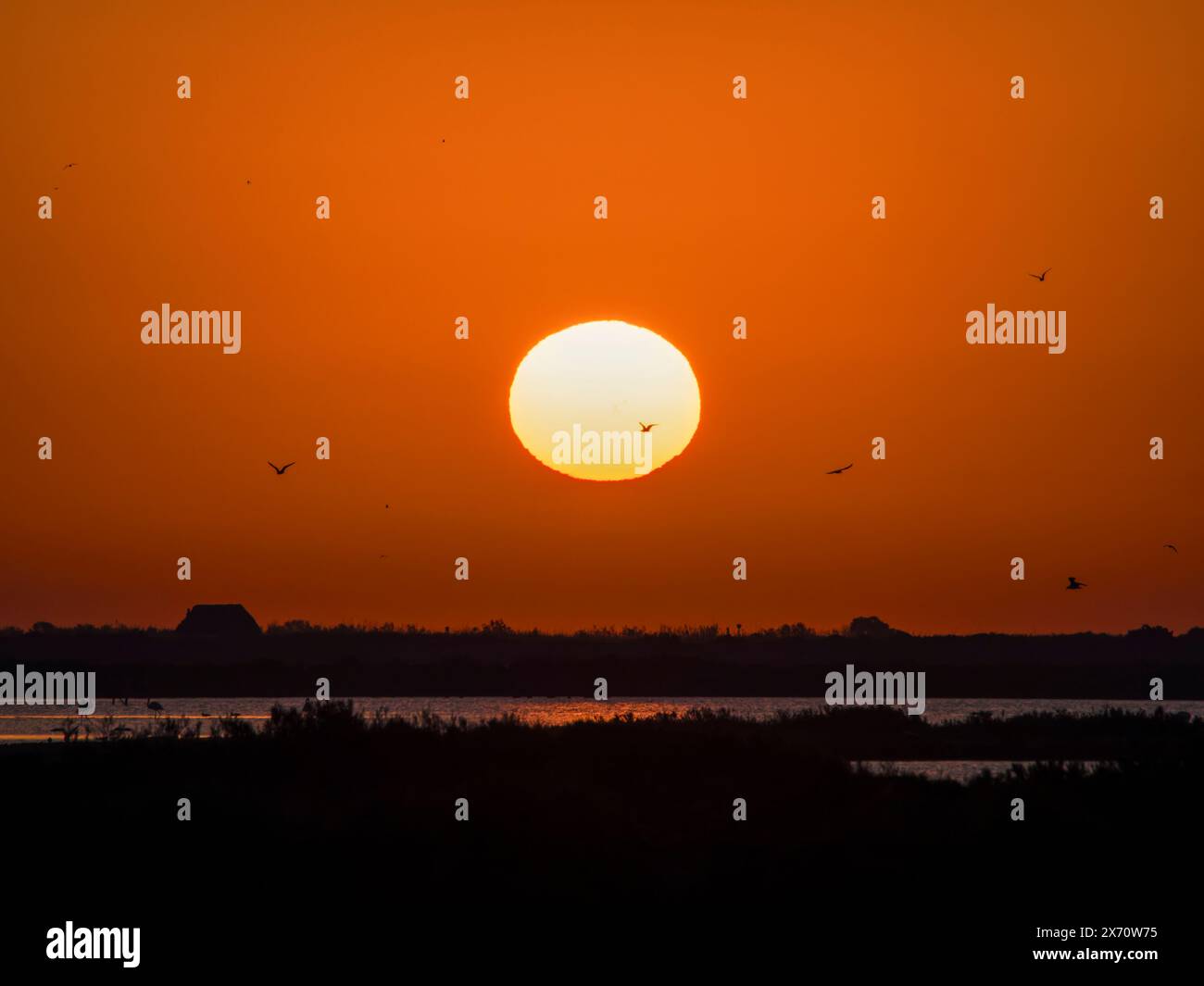 beautiful sunrise or sunset sky with sun background. Blurred seabed at ...