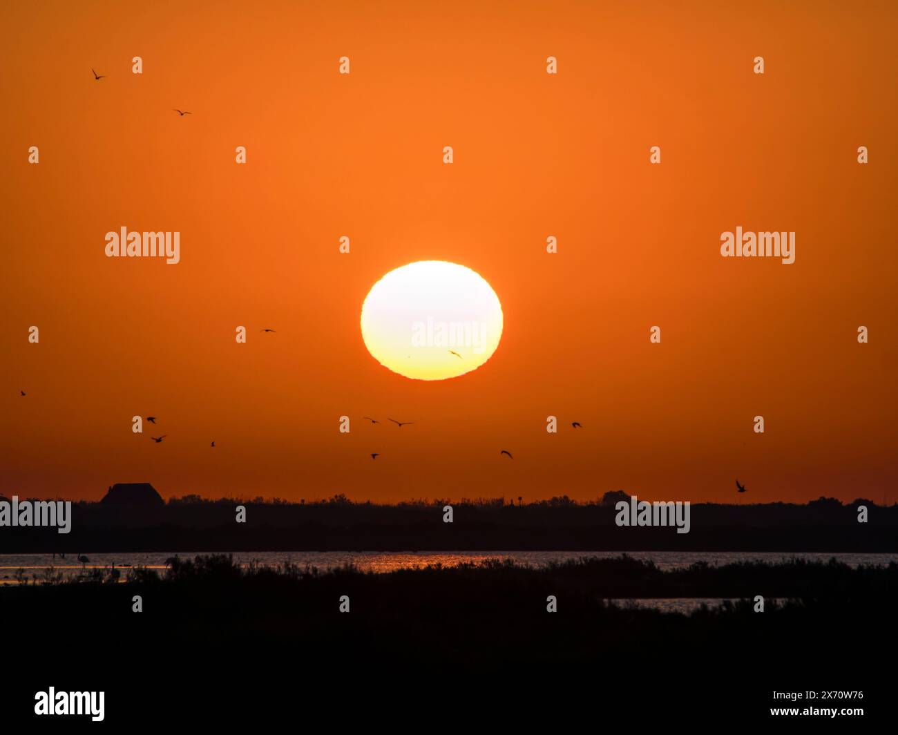 beautiful sunrise or sunset sky with sun background. Blurred seabed at ...