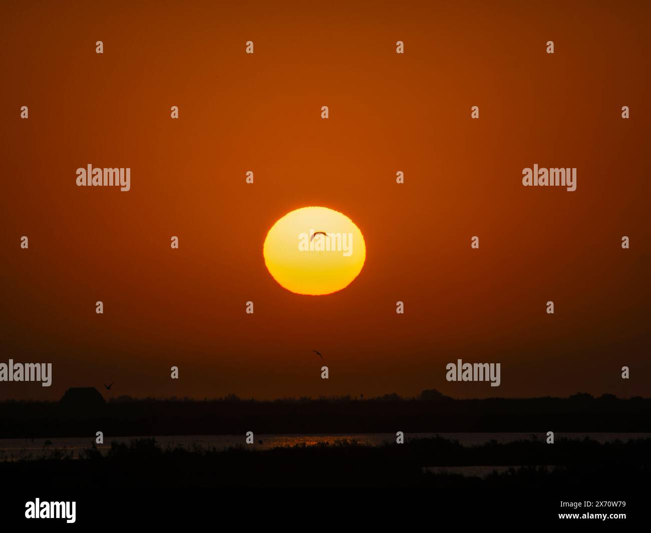 beautiful sunrise or sunset sky with sun background. Blurred seabed at ...