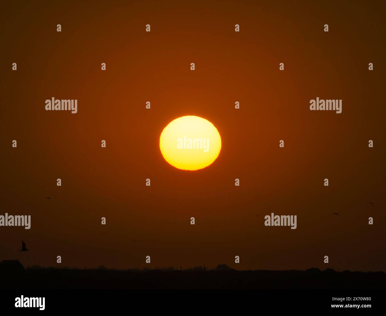 beautiful sunrise or sunset sky with sun background. Blurred seabed at ...