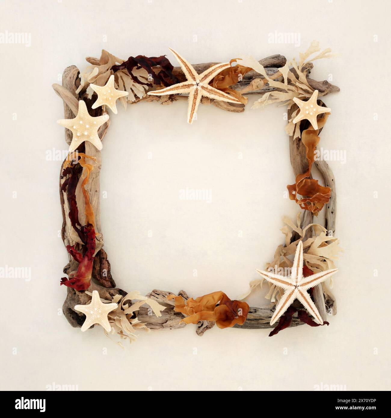 Driftwood seashell and seaweed wreath abstract frame on hemp paper ...