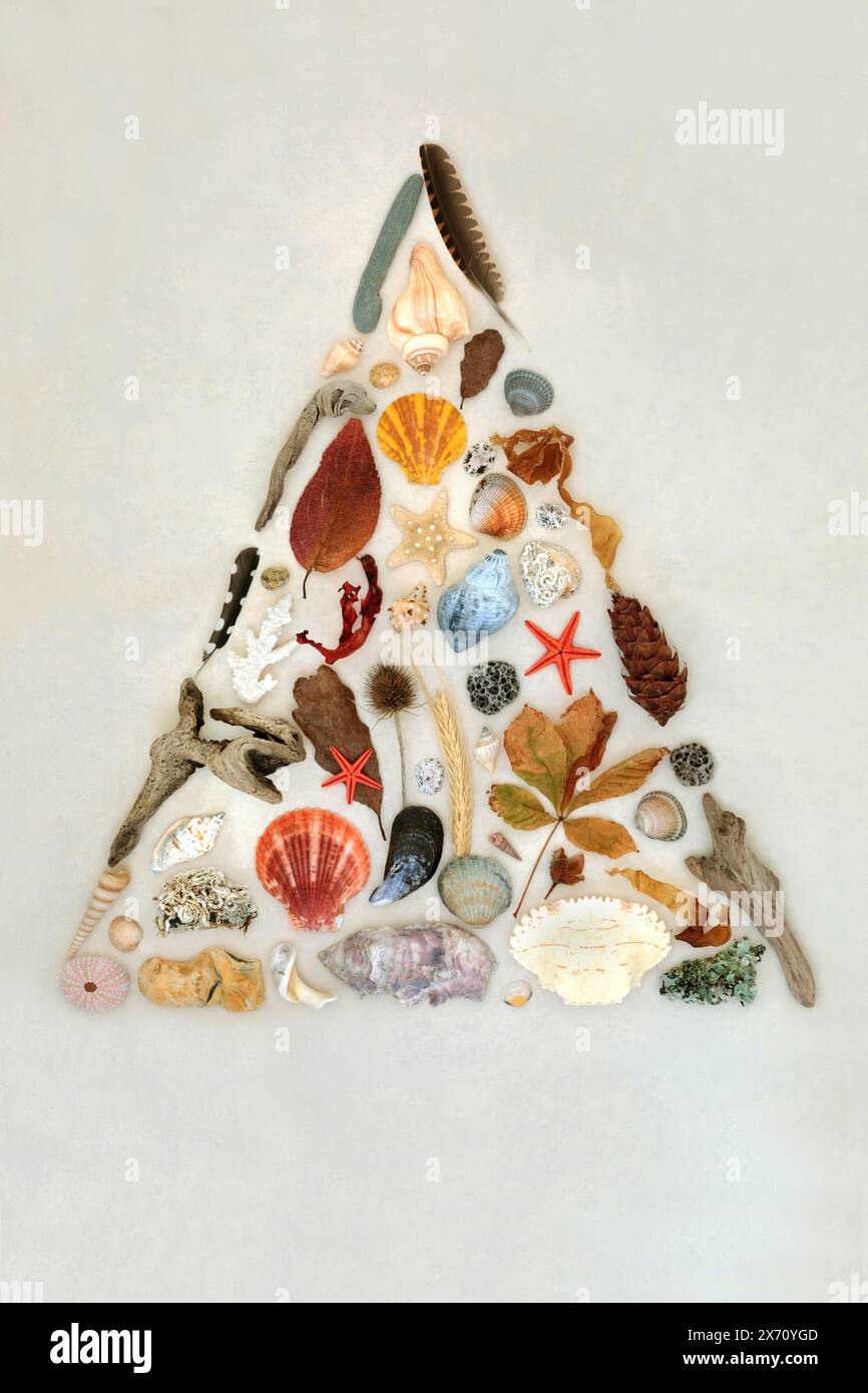 Natural nature tree pyramid shape abstract design with feathers ...