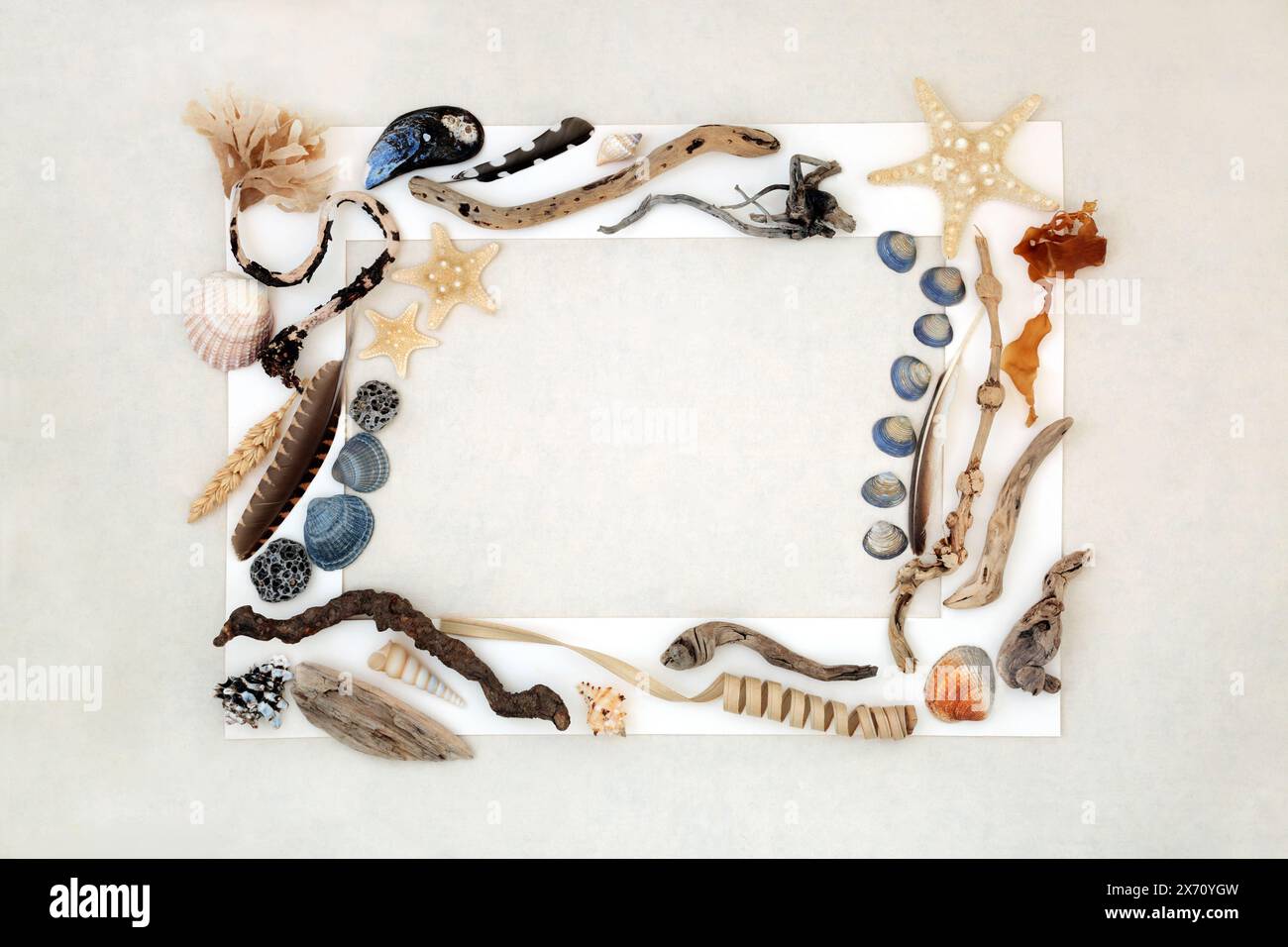 Natural objects of nature collection background border with driftwood ...