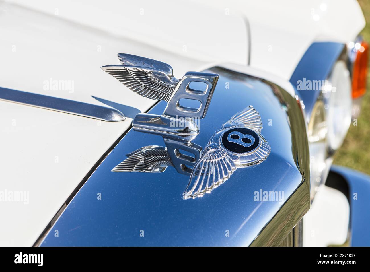 English emblem hi-res stock photography and images - Alamy