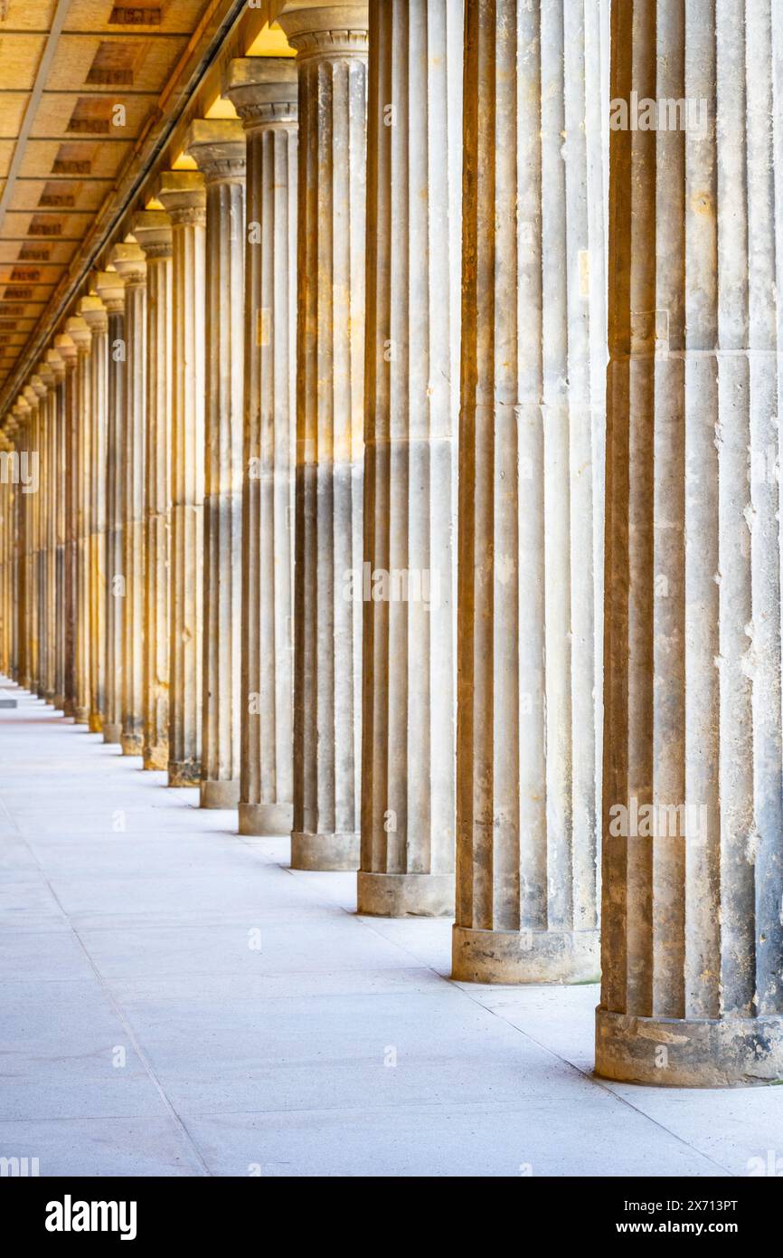 A corridor of towering, classical columns bathed in warm sunlight ...