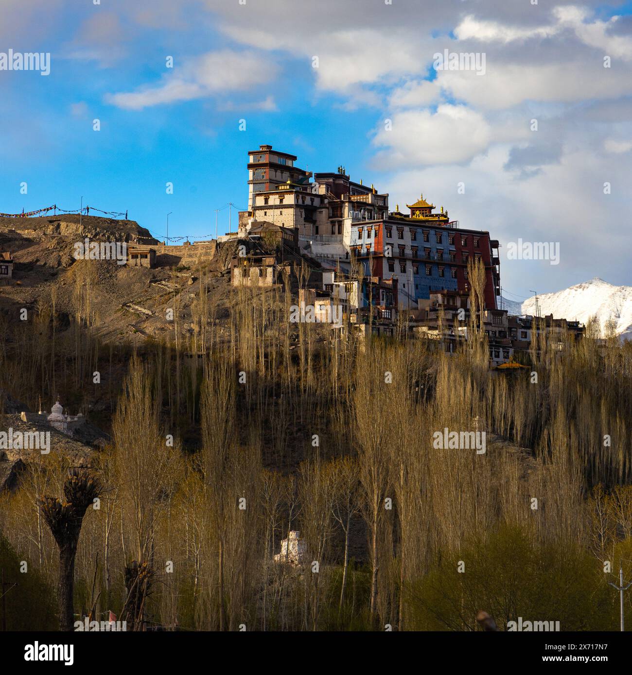 A view of Matho monastery also called Matho gonpa located in Leh ...