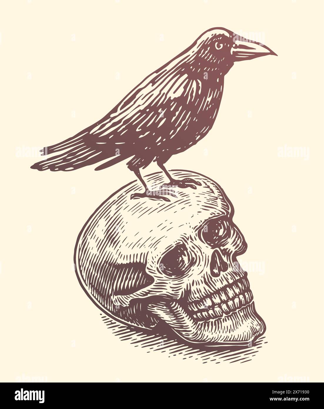 Raven, crow sitting on human skull. Hand drawn vector art. Sketch ...