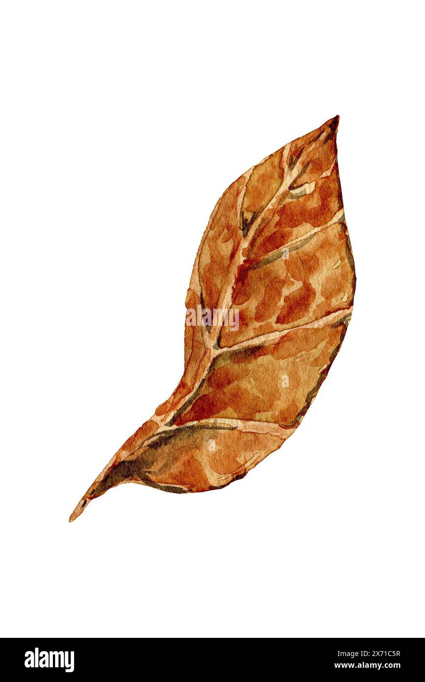 Wood with gold leaf Cut Out Stock Images & Pictures - Alamy