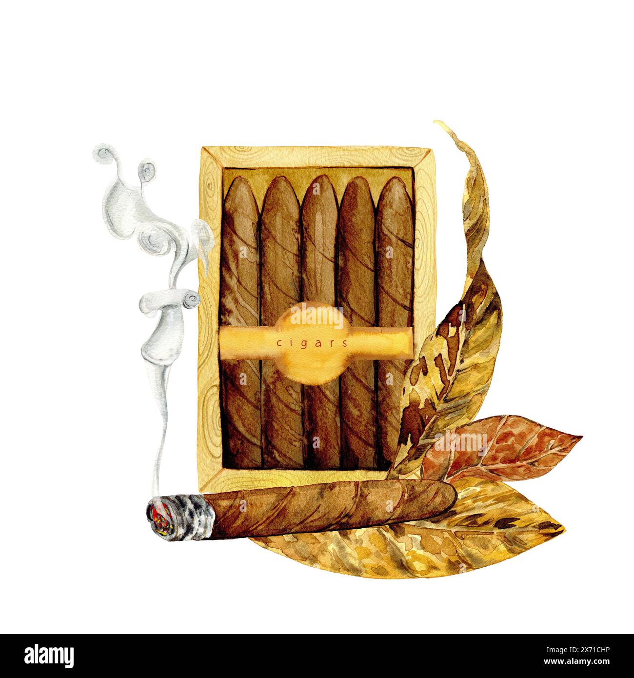 box with cigars painted in watercolor Stock Photo - Alamy