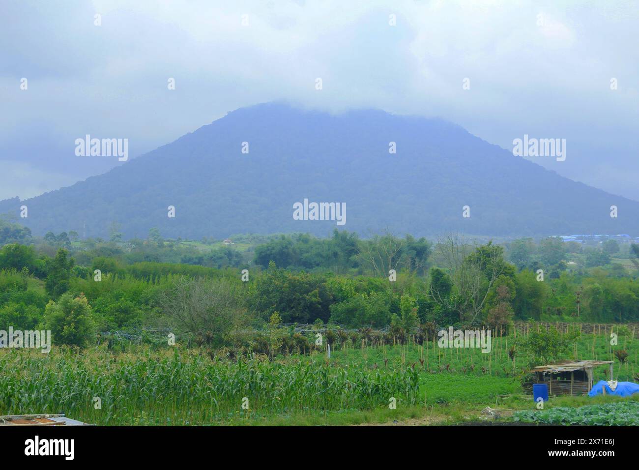 Panorama of hills and agricultural land in Seribu Dolok, North Sumatra ...