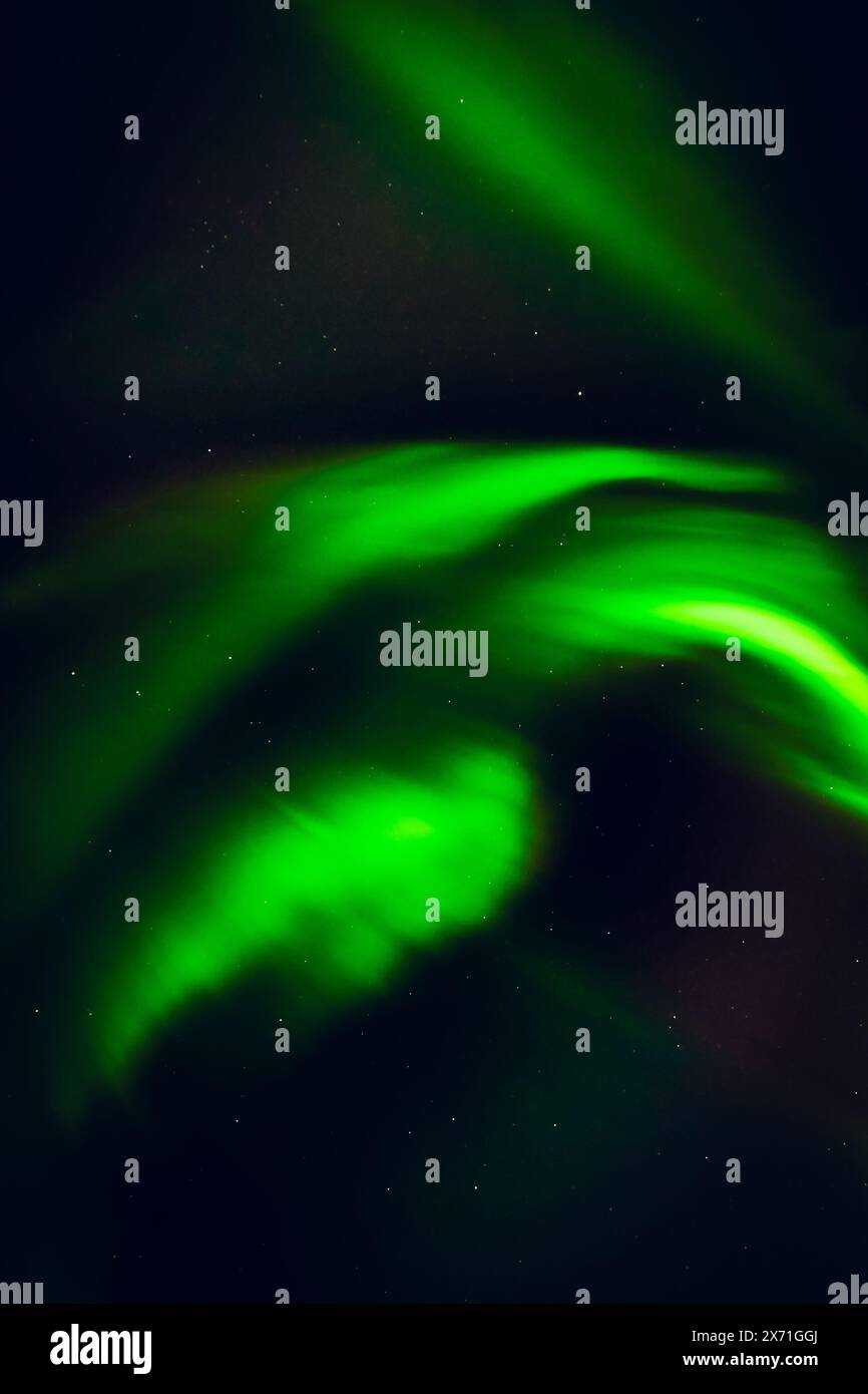 Aurora borealis spectacular show form of bird pattern object in clear ...