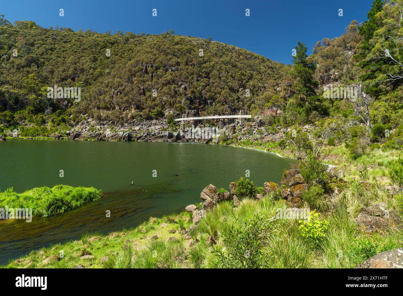 Cataract Gorge in Launceston, Tasmania, Australia. Some of the park's ...