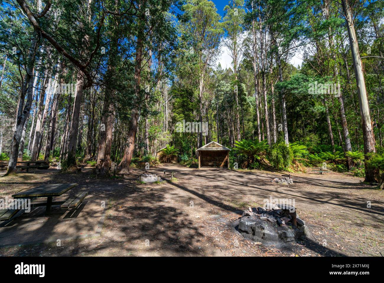 Picnic shelter amongst tall trees, Arve River Camping and Picnic Area ...