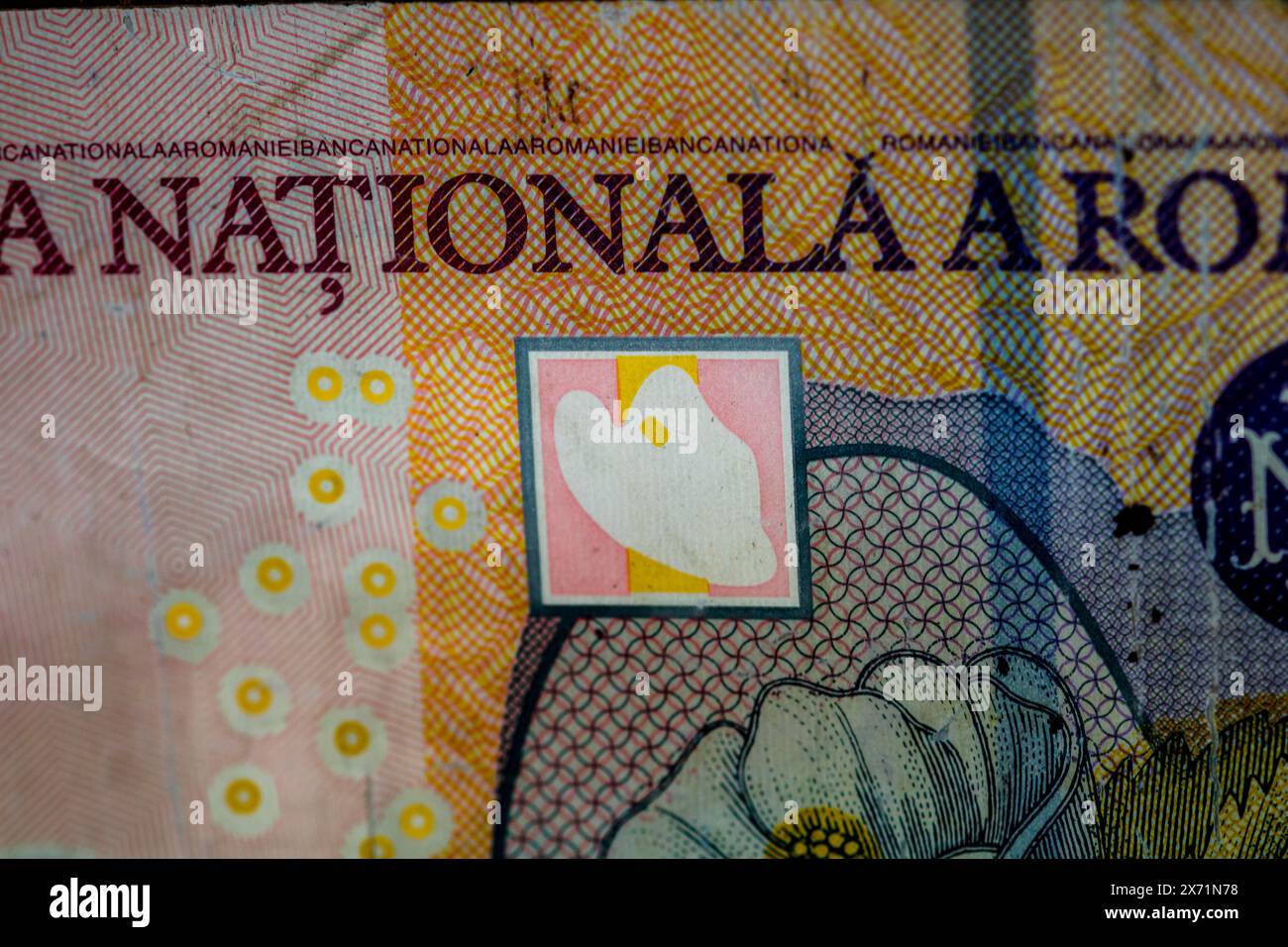 LEI money banknotes, detail photo of RON. Romanian currency Stock Photo ...