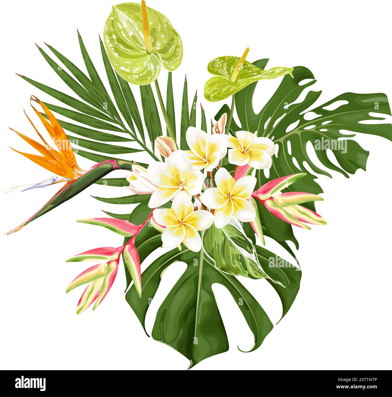 Summer tropical bouquet with strelitzia flower, plumeria, anthurium ...