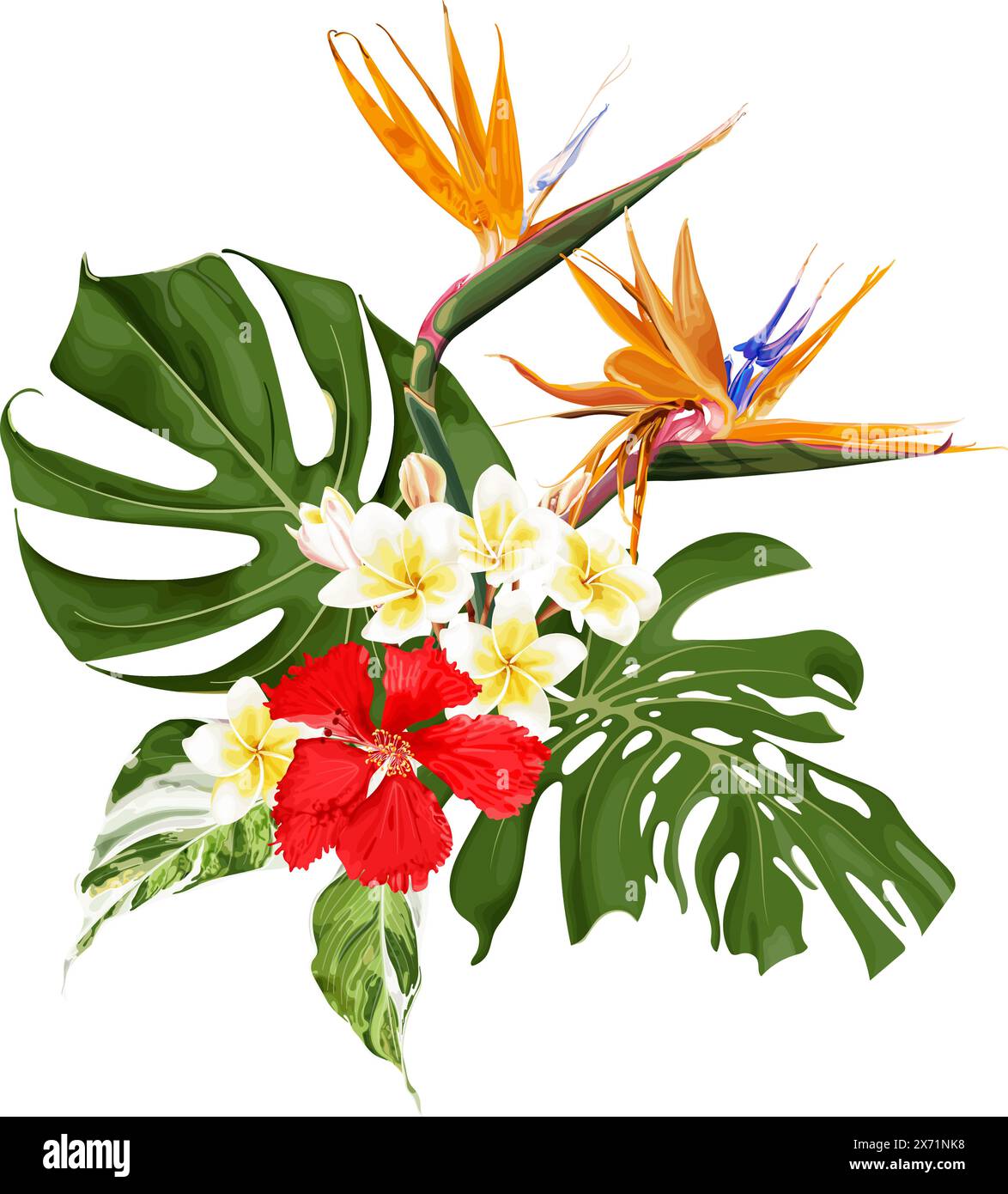 Summer tropical bouquet with red hibiscus flower, strelitzia, plumeria ...