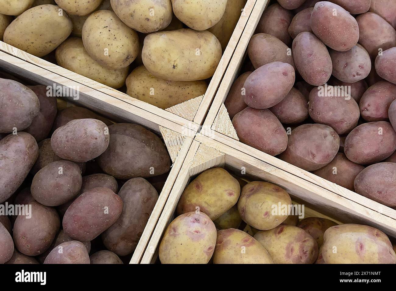 Fresh Harvest: Flat Lay and Close-Up Composition Featuring Different ...