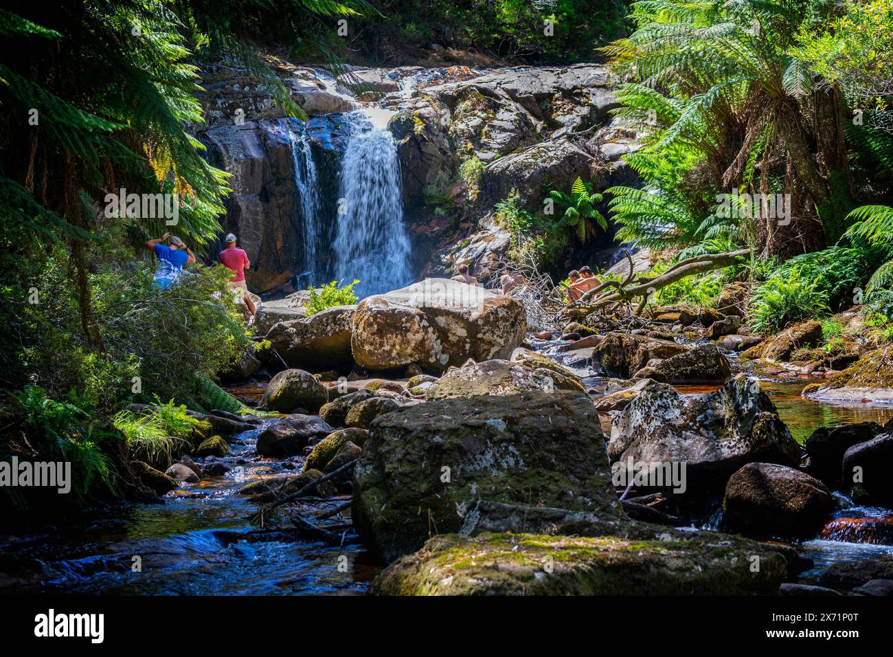 Halls Falls, Pyengana, Tasmania Stock Photo - Alamy