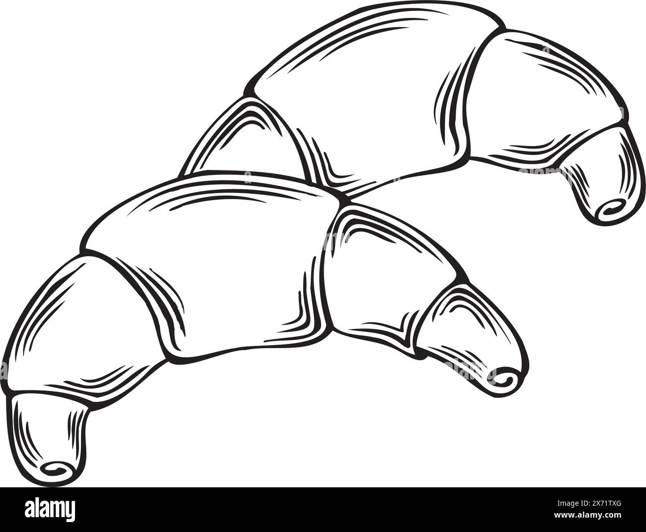 Baguetts, French bread. Vector illustration isolated, linear style ...