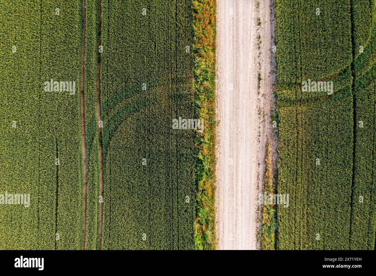 Top down perspective hi-res stock photography and images - Alamy