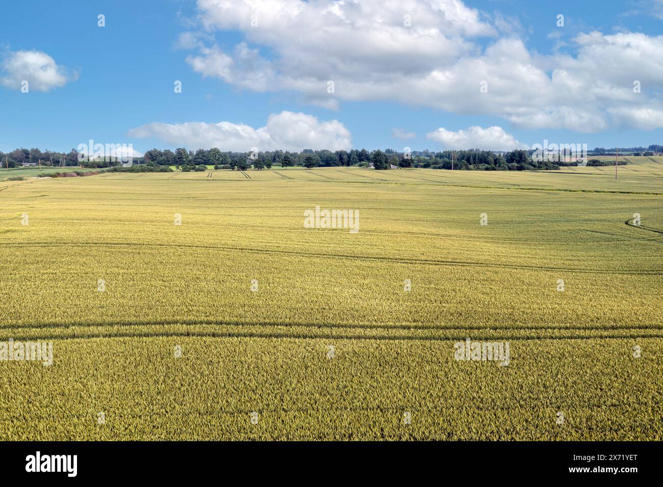 Green field trees seen hi-res stock photography and images - Alamy