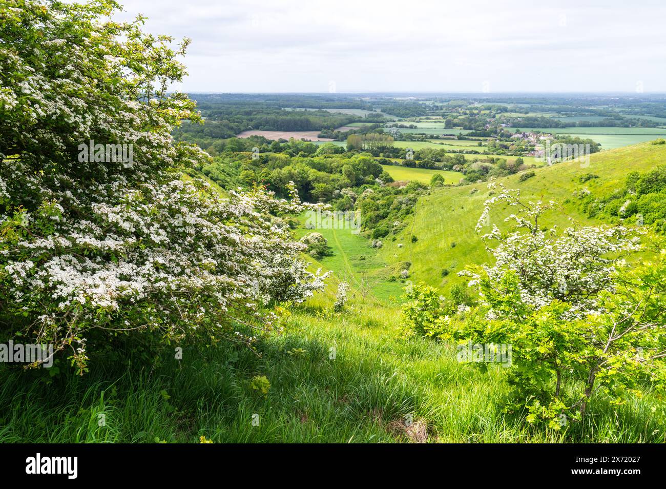 The Devil's Kneading Trough dry valley in Wye National Nature Reserve ...