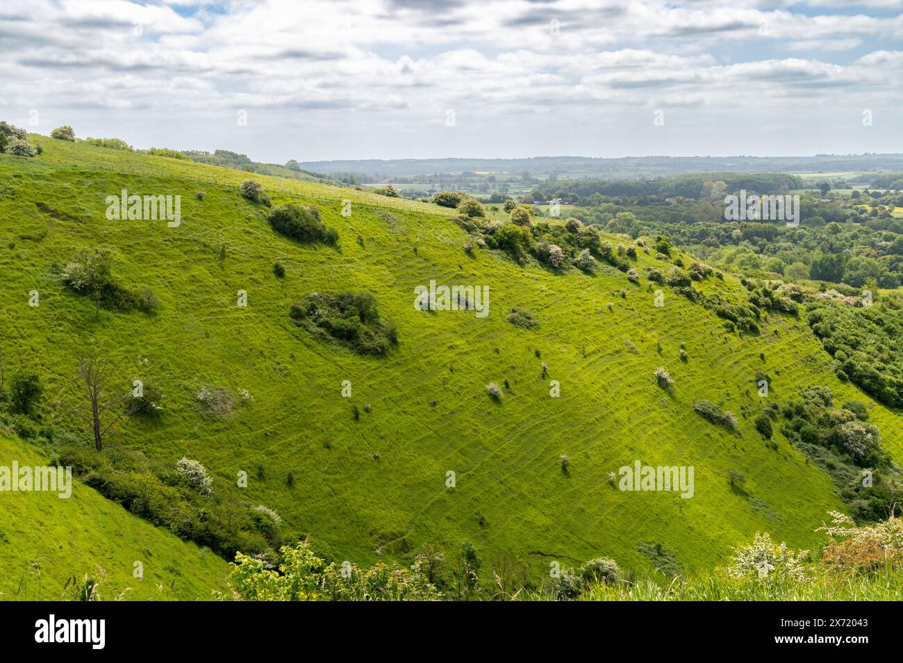 The Devil's Kneading Trough dry valley in Wye National Nature Reserve ...