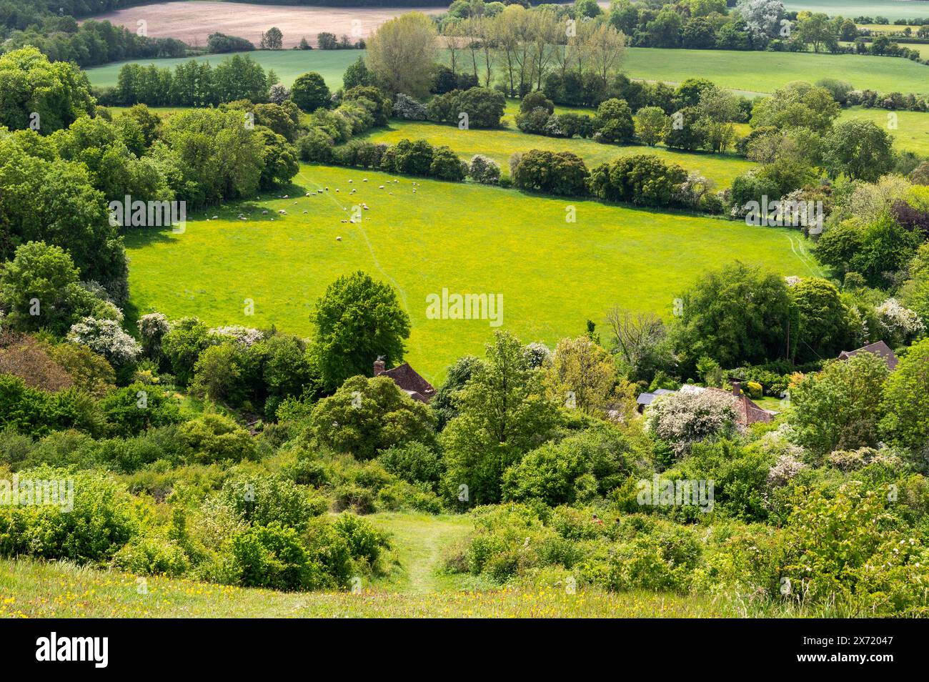 The Devil's Kneading Trough dry valley in Wye National Nature Reserve ...