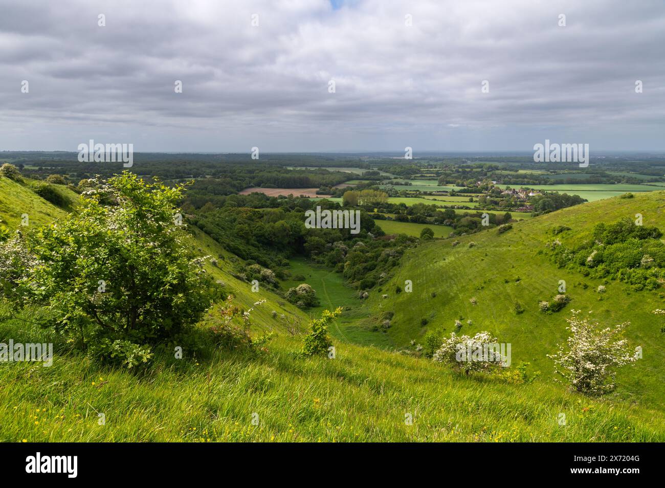 The Devil's Kneading Trough dry valley in Wye National Nature Reserve ...