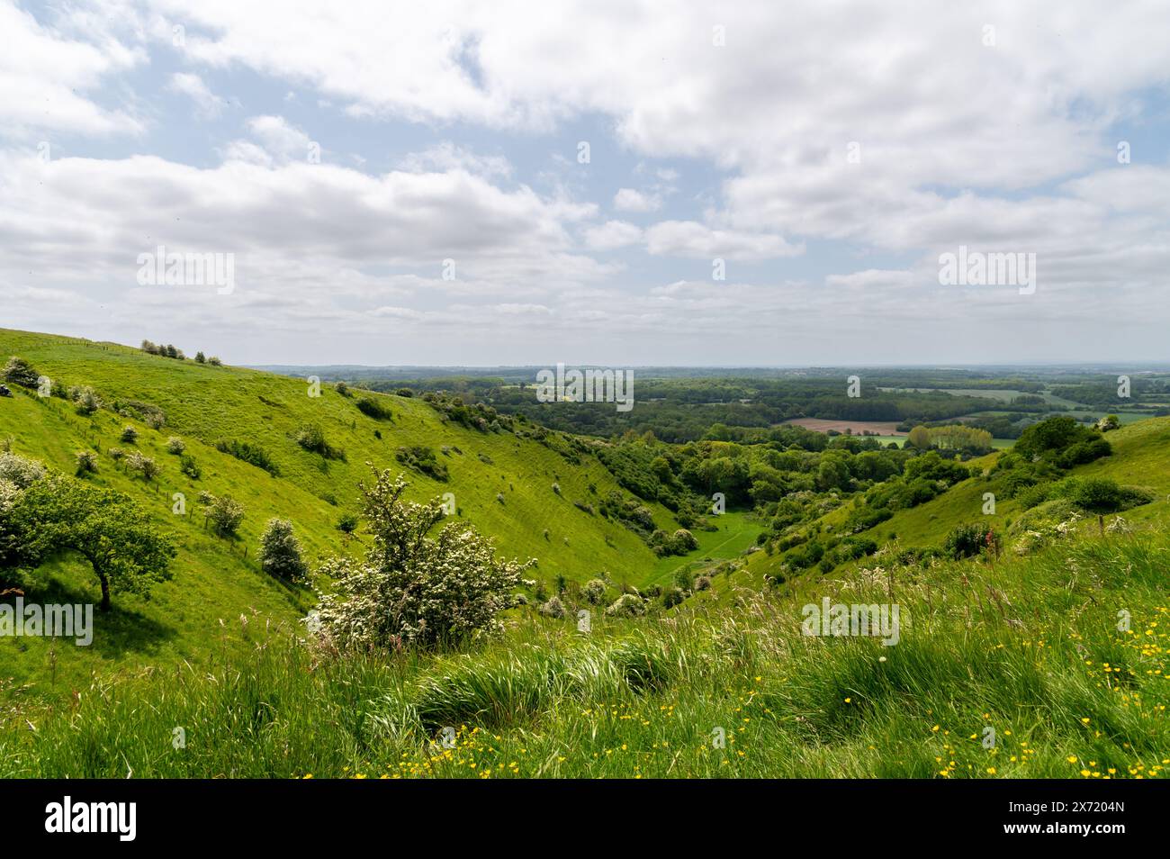The Devil's Kneading Trough dry valley in Wye National Nature Reserve ...