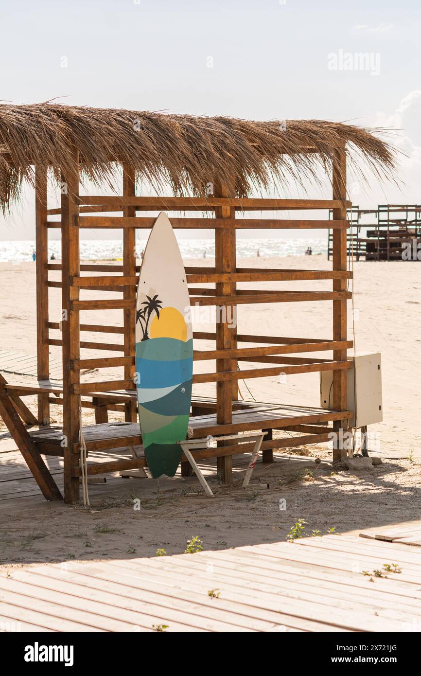 Surfboard illustrated with summer landscape, sun, palm tree. Surfboard ...