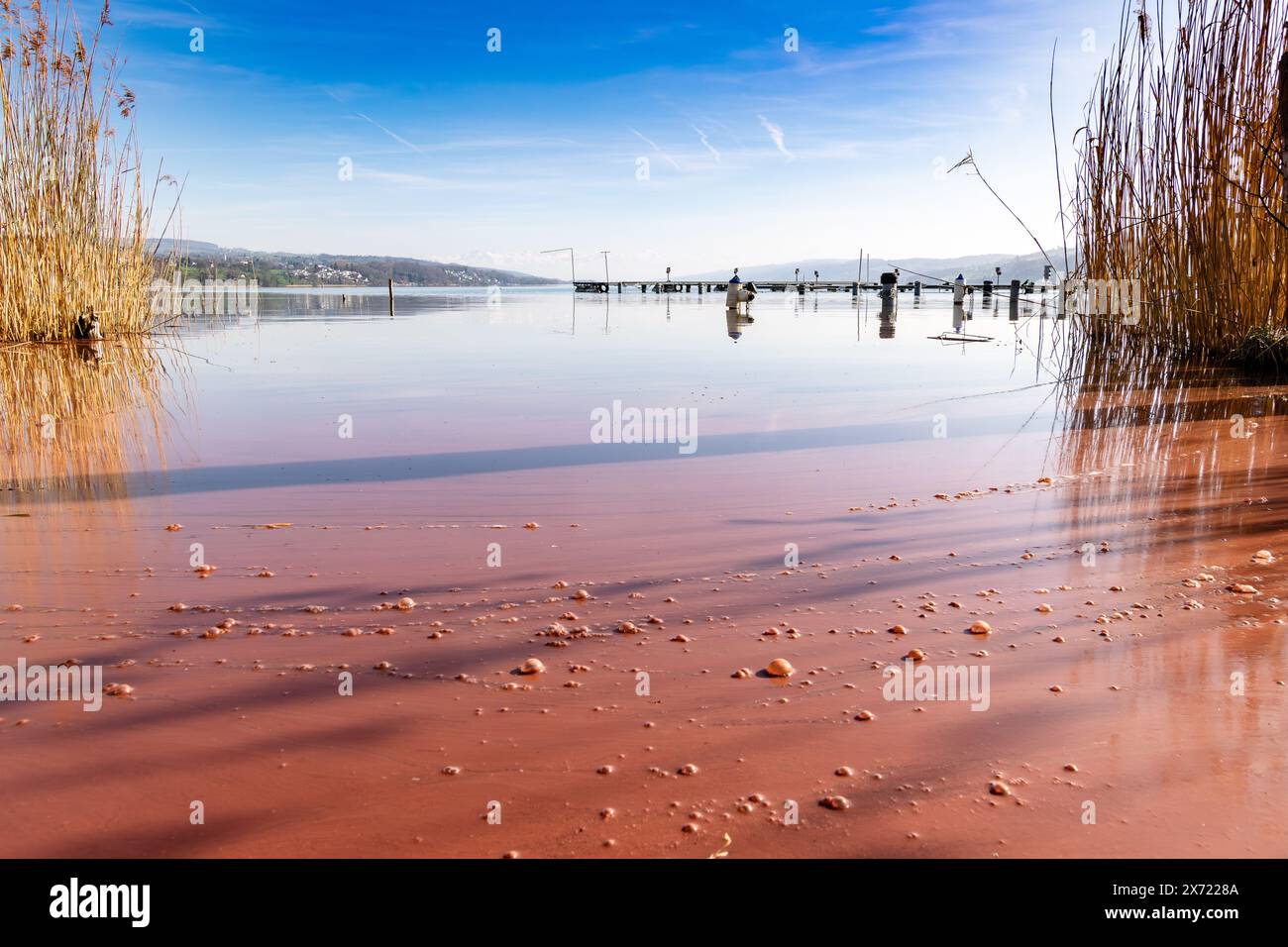 Lake with bubbling red water at the shore. This is caused due to the ...
