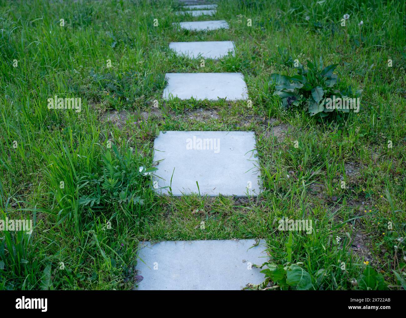 Path pathway tiles hi-res stock photography and images - Alamy