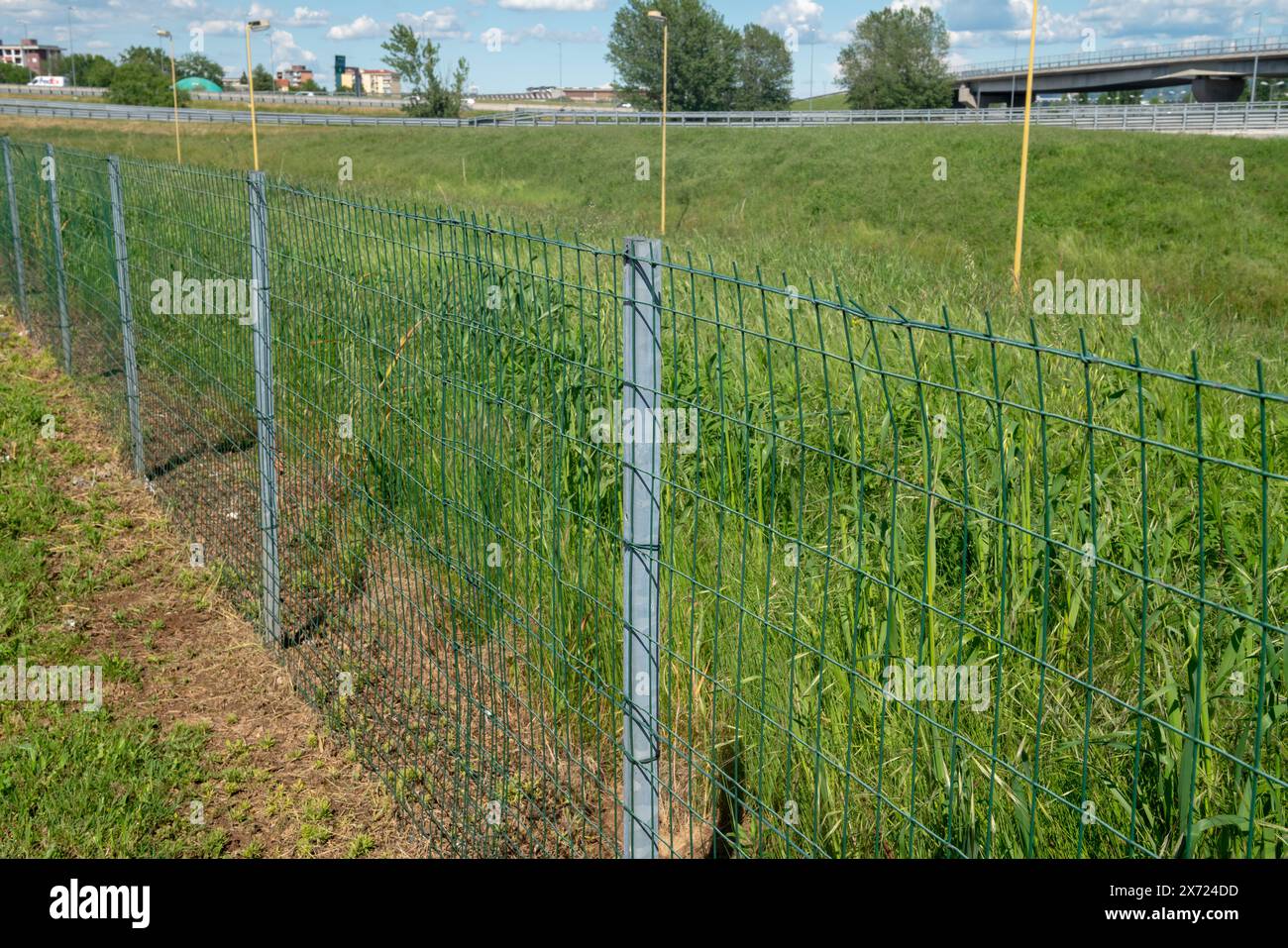 Border fence in a field with galvanized steel pole and electro-welded ...