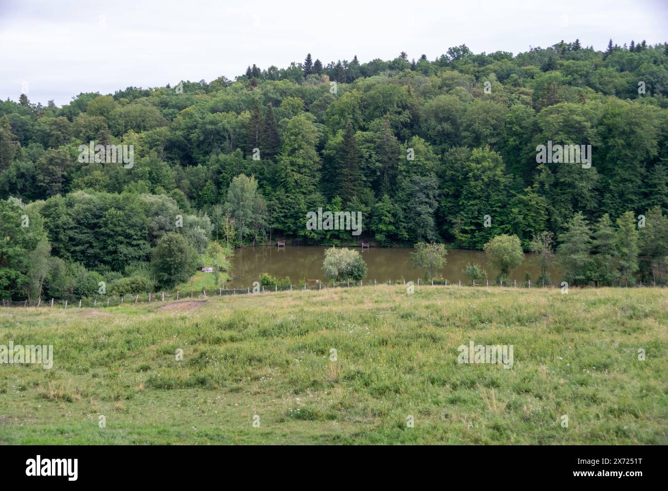 Landscape photography forest pond hi-res stock photography and images ...