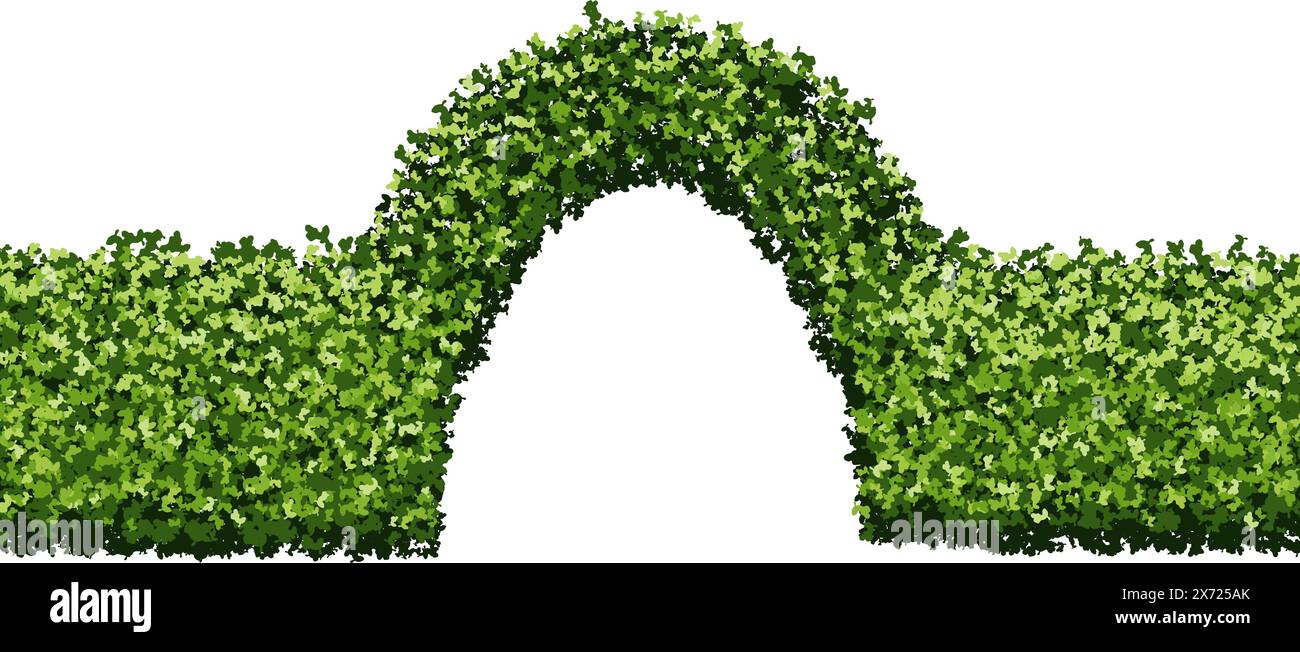 Green hedge with arch gate of boxwood bushes in the form of a seamless ...