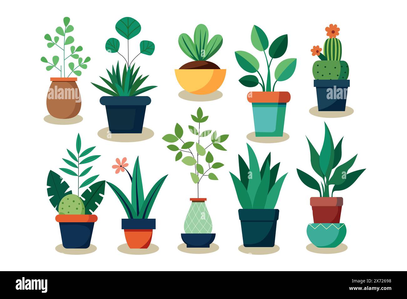 Plants for small pots Stock Vector Images - Alamy