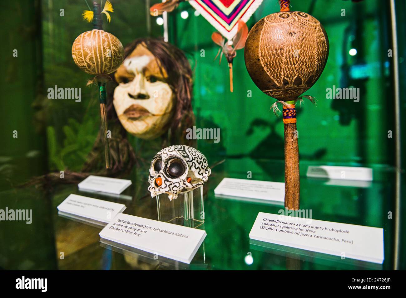 The exhibition A Thousand Faces of Amazonia showcases the cultural and ...