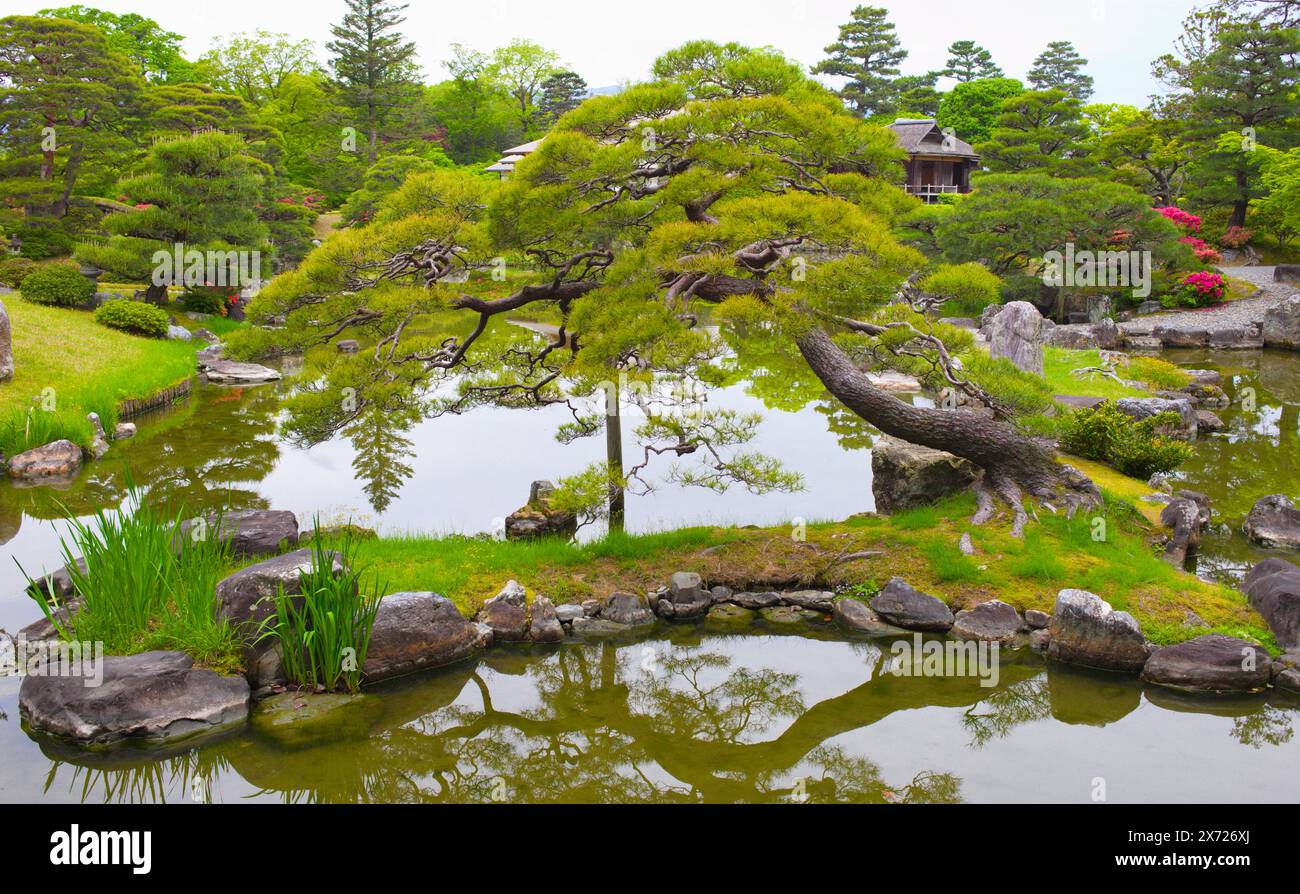 Japan, Kyoto, Katsura Rikyu Imperial Villa, garden Stock Photo - Alamy