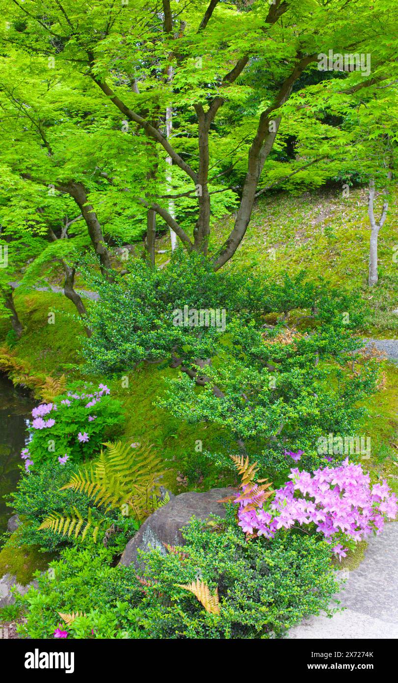 Japan, Kyoto, Imperial Palace, Sento Palace, garden Stock Photo - Alamy