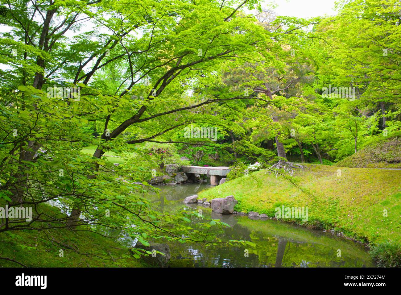 Japan, Kyoto, Imperial Palace, Sento Palace, garden Stock Photo - Alamy