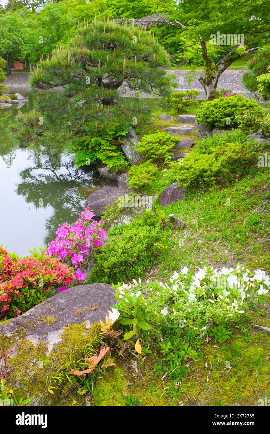 Japan, Kyoto, Imperial Palace, Sento Palace, garden Stock Photo - Alamy