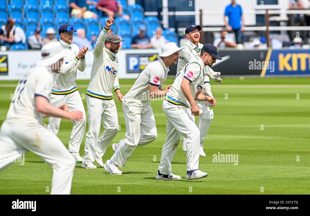 Cricket fielding hi-res stock photography and images - Alamy