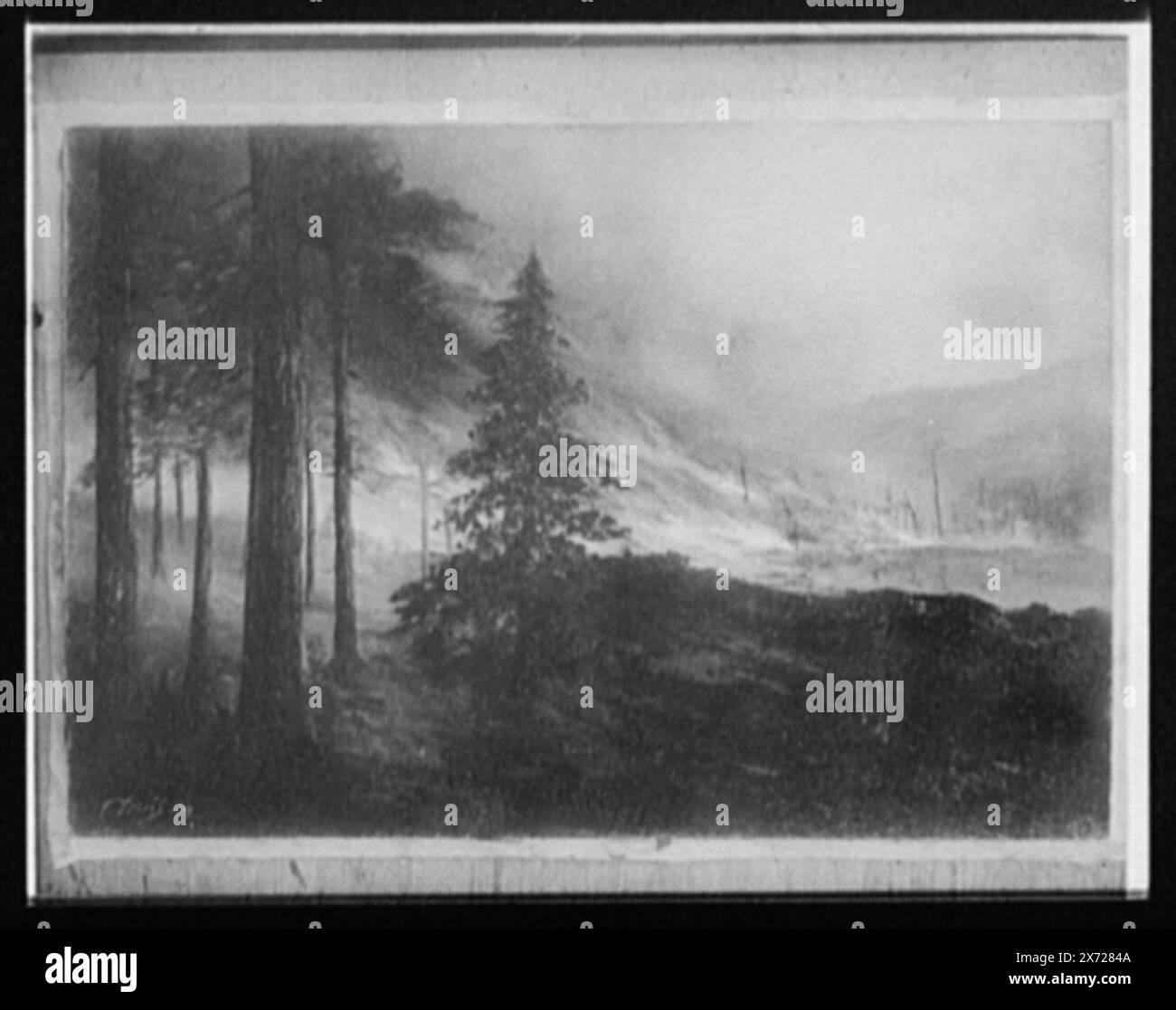 Forest flames Black and White Stock Photos & Images - Alamy