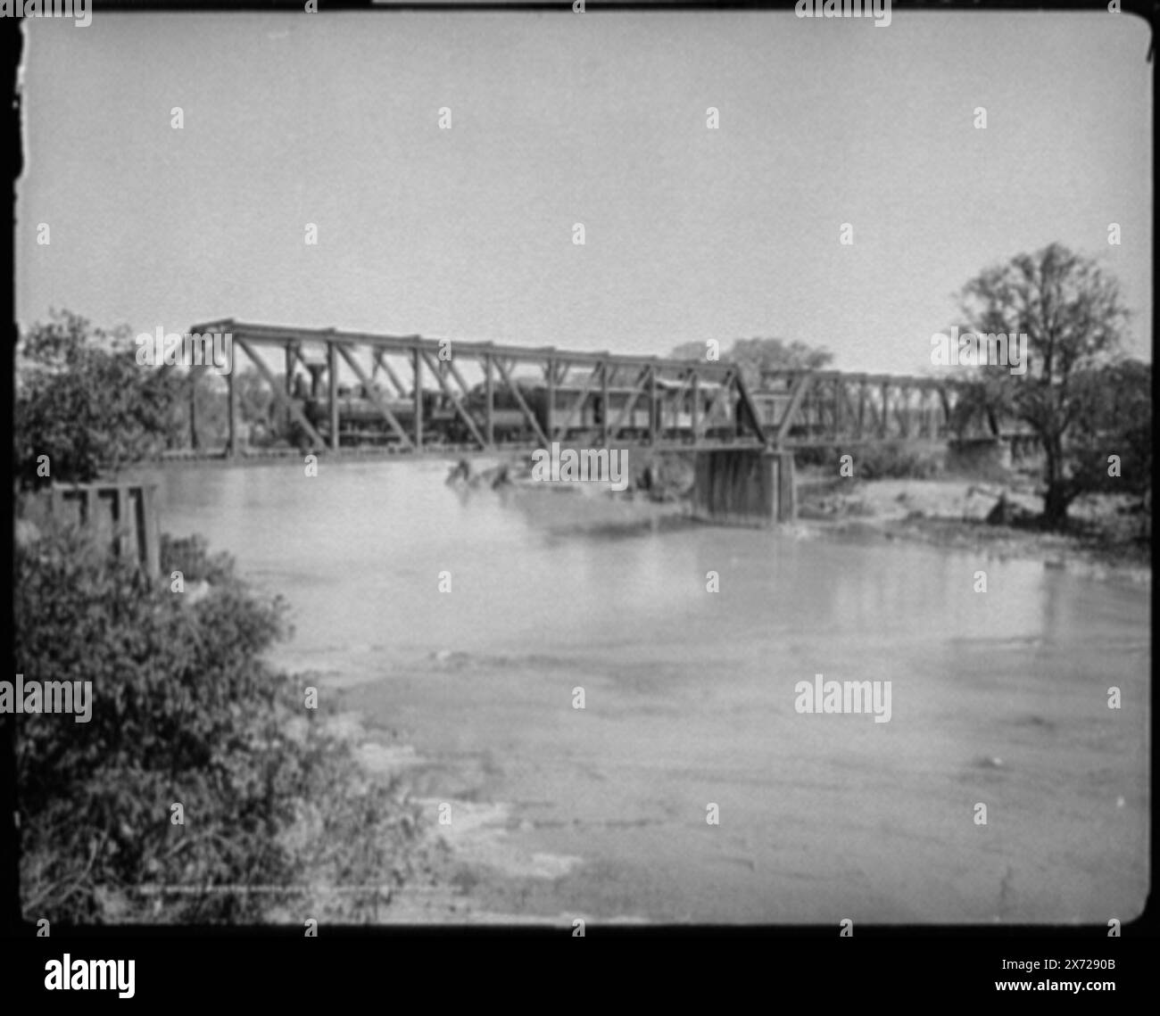 Rosa mexico Black and White Stock Photos & Images - Alamy