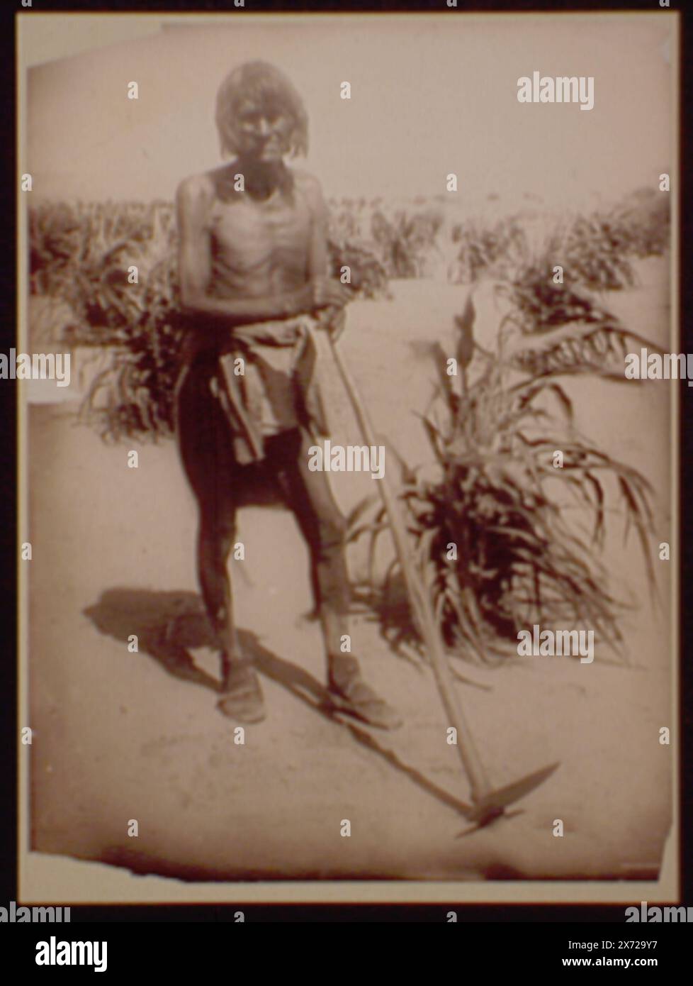 Indians of north america arizona subsistence activities hi-res stock ...