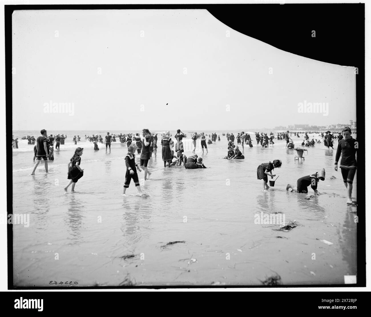Atlantic shoreline landscape Cut Out Stock Images & Pictures - Alamy