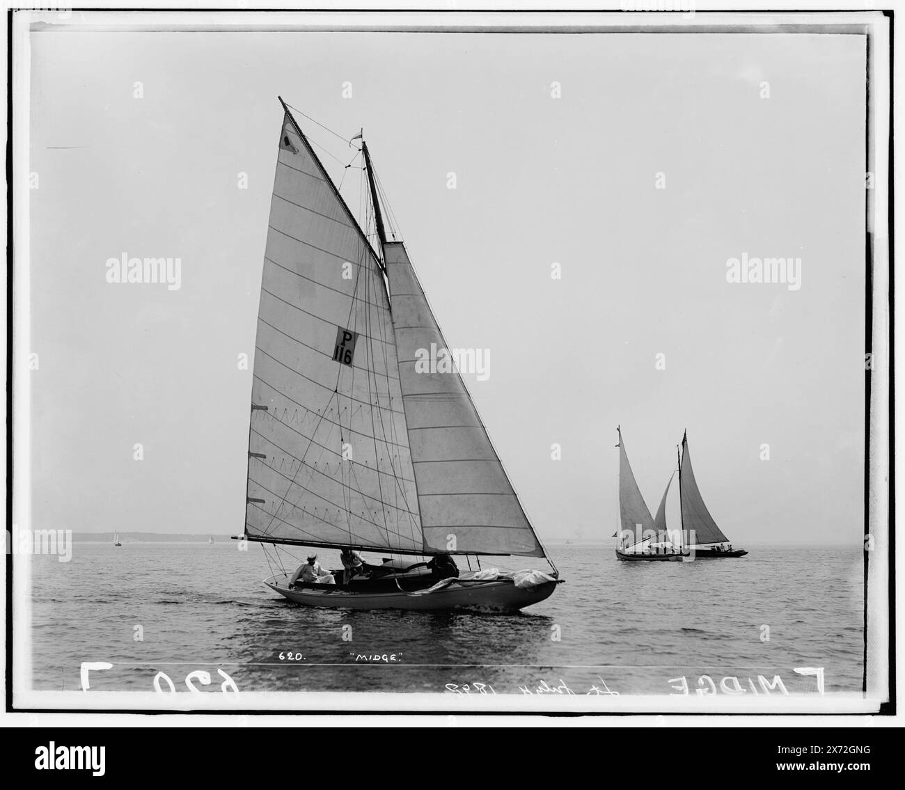 Midge, Attribution based on style of title and numbering., Probably ...