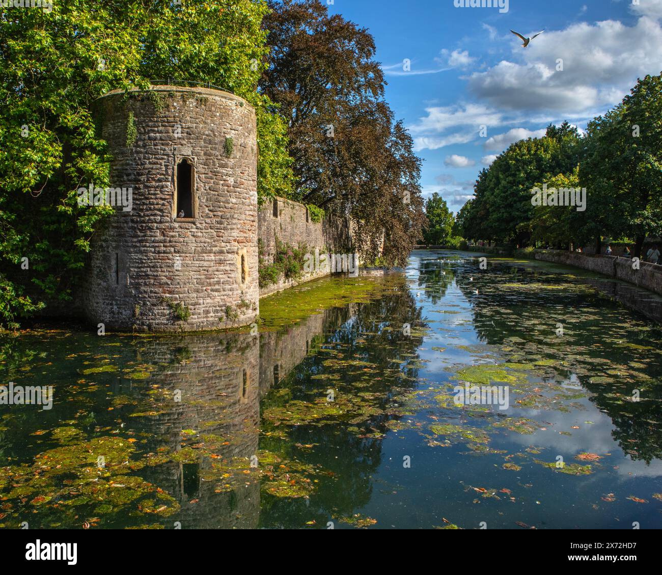 The boundary wall and moat of the historic Bishops Palace in the city ...