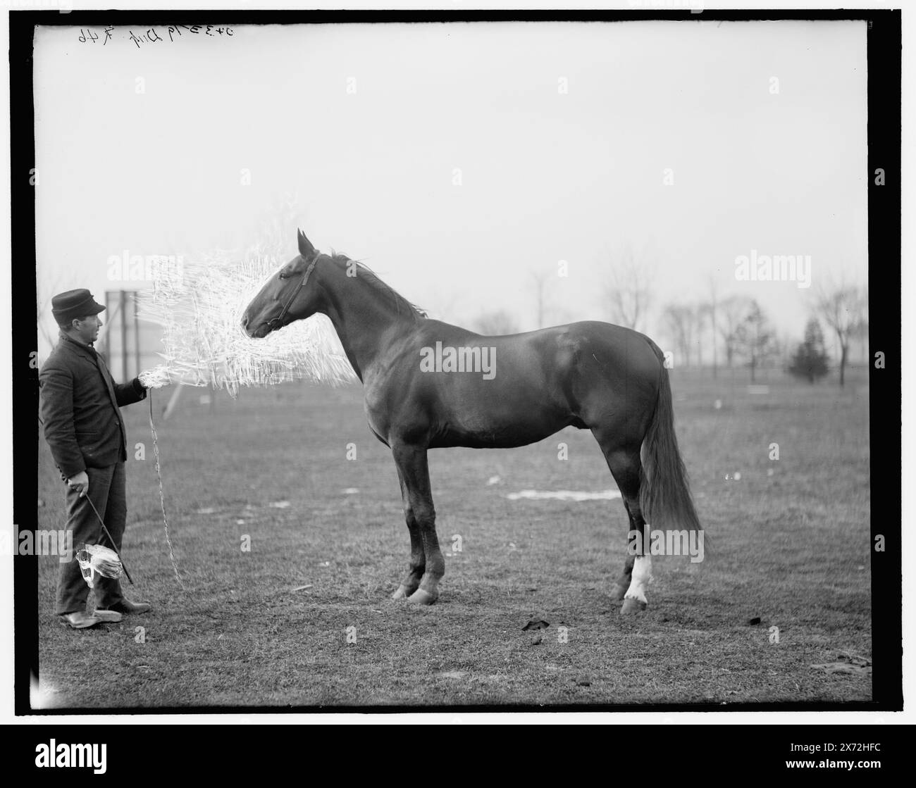 Horse society old Black and White Stock Photos & Images - Alamy